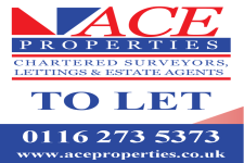 Homepage - Ace Properties