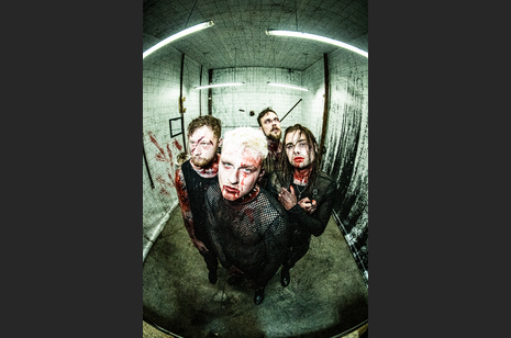 Band Profile for PALFACE SWISS - boa-2025 | Bloodstock