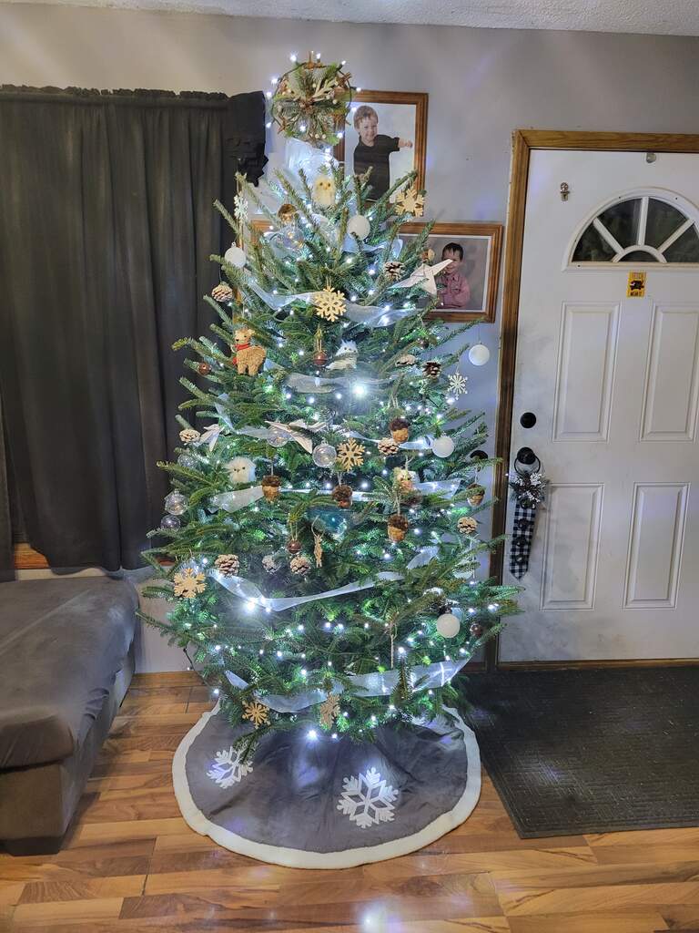 William Harrell - The tree is up!