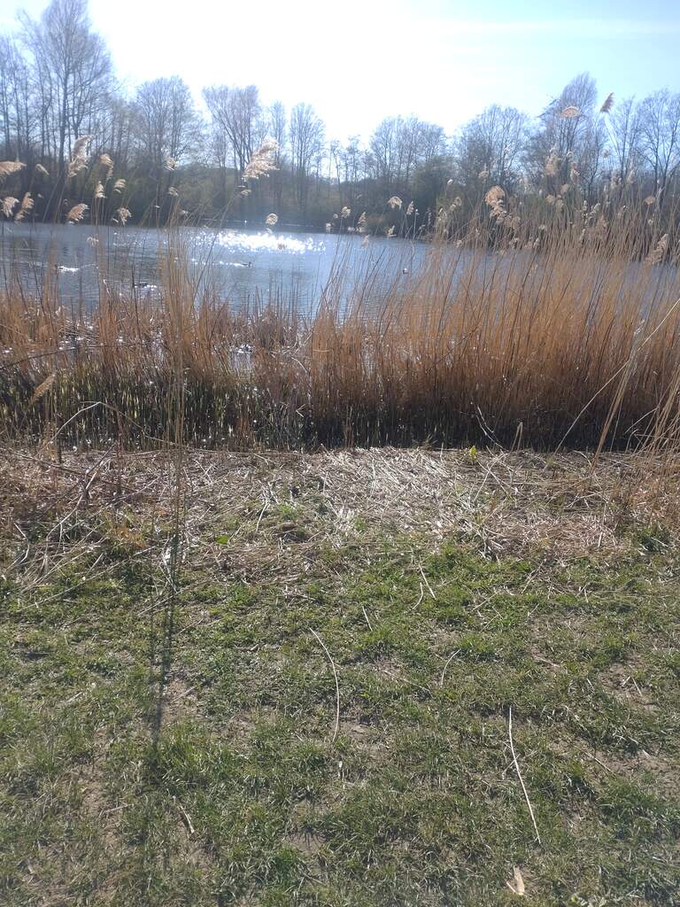 George Sankey - Enjoying the sun with my loved one [xoxoyoinkusxoxo]