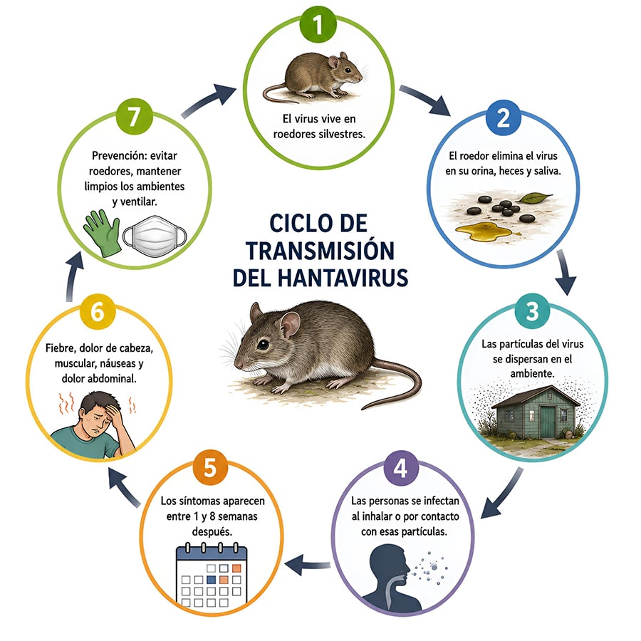 Hantavirus: Comienza la investigación del Malbrán en Ushuaia - Diario ...
